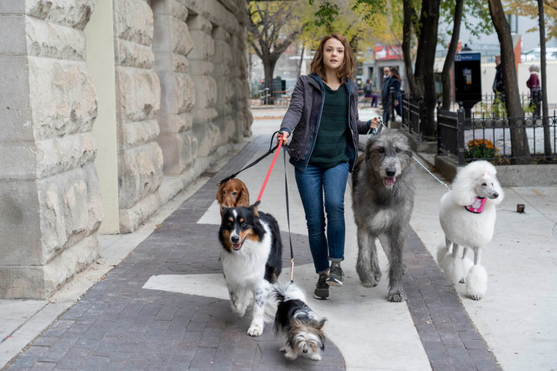 Krótkie metraże Davida Lyncha: Dumbland + film Portret: David Lynch ...